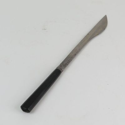 Kidney stone operation knife | Europeana