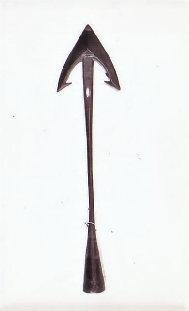 Hvalharpun | Europeana